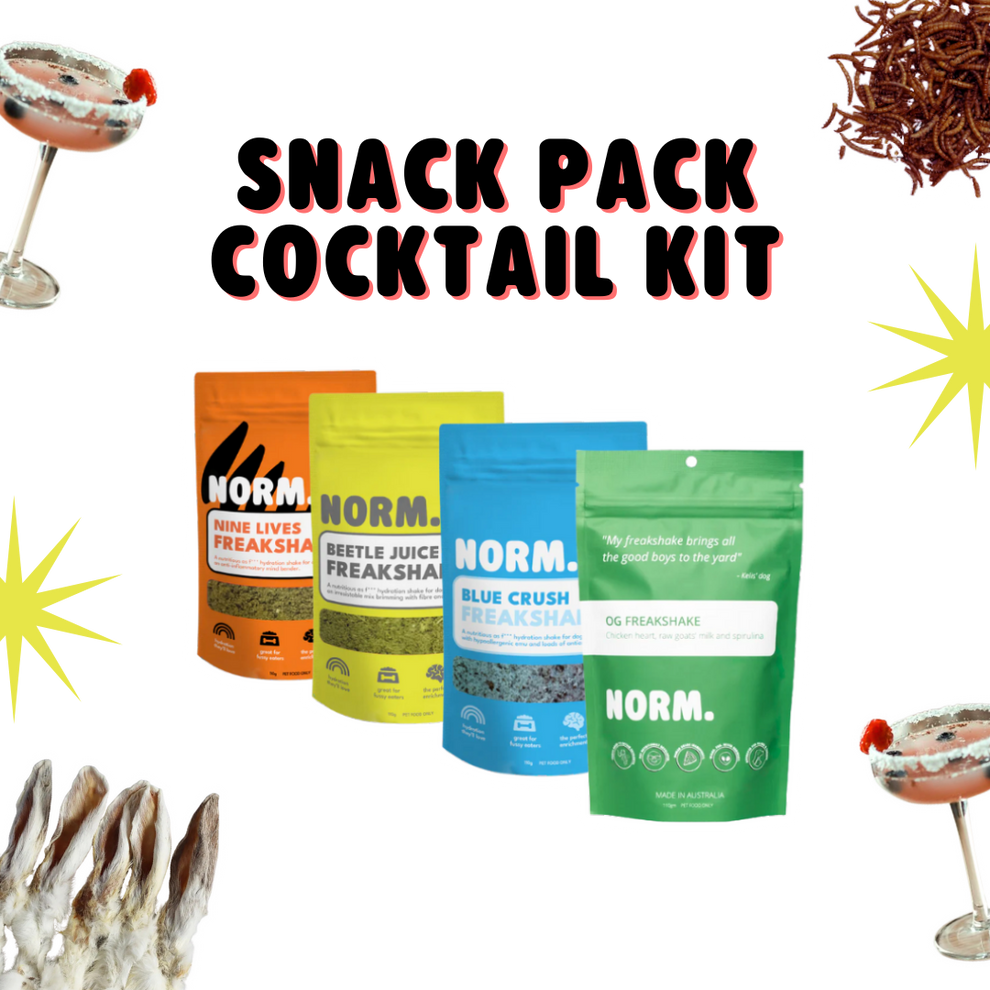 Snack Pack Cocktail Kit – NORM.